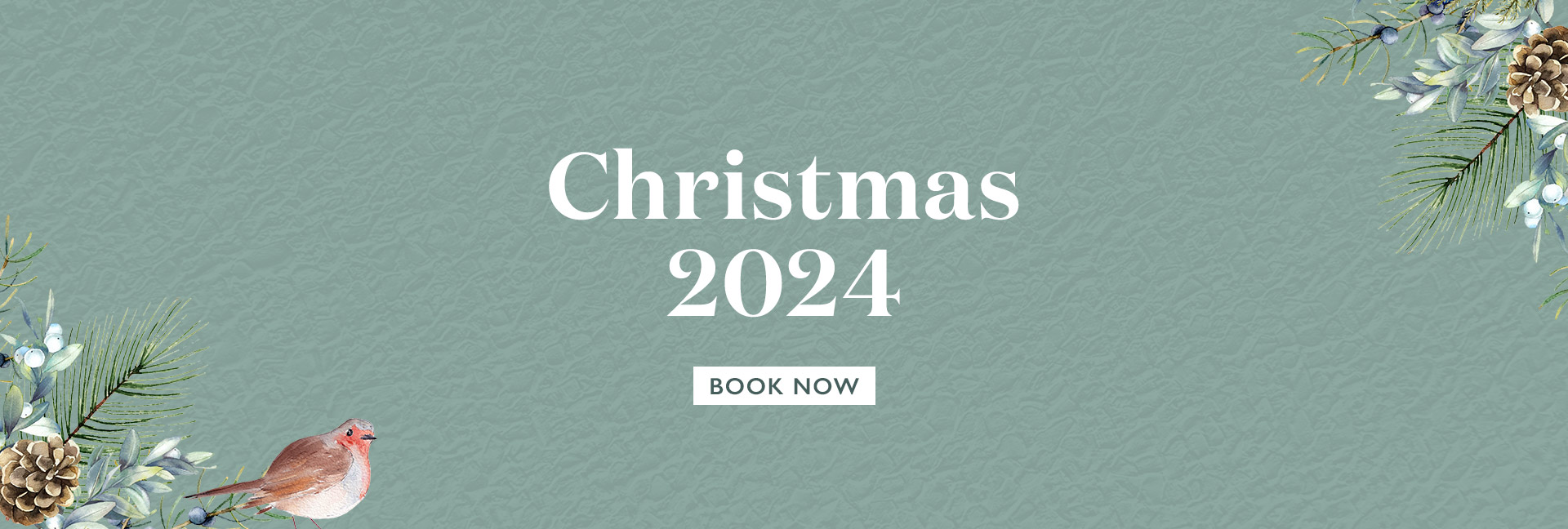 A Very Merry Christmas 2024 | The Willy Wicket