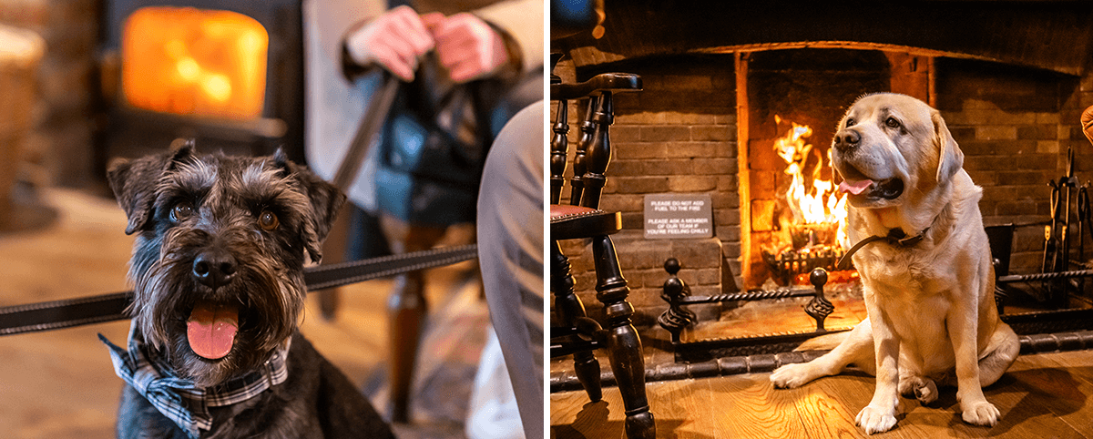 Dog Friendly Pubs in Hook | The Longbridge Mill