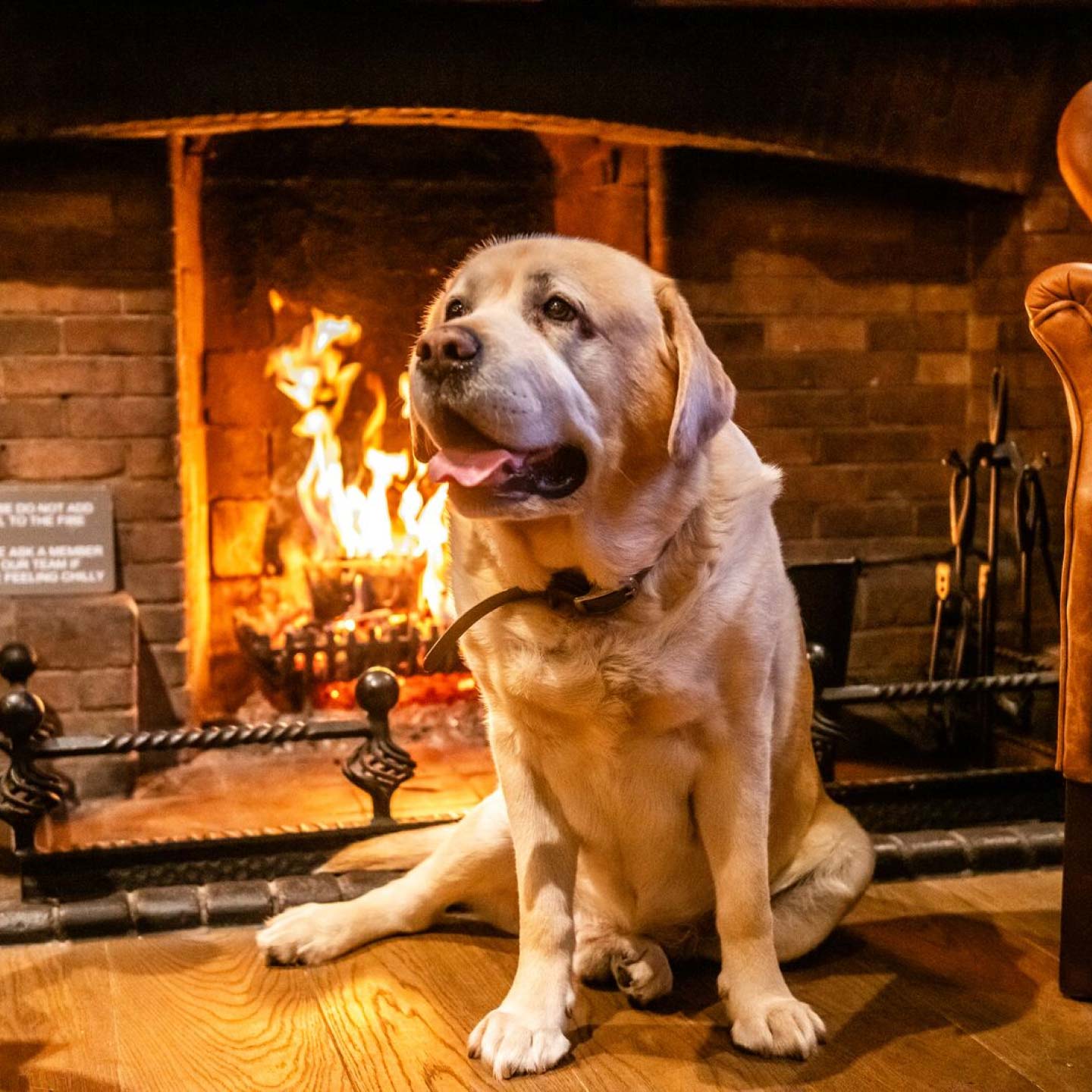 Country Pubs, Classic Food & Rustic Settings | Vintage Inns