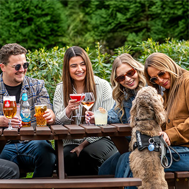Explore the Drinks Menu at The Windhover
