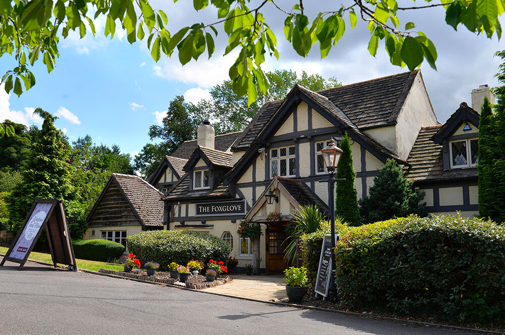 The Foxglove Beer Garden